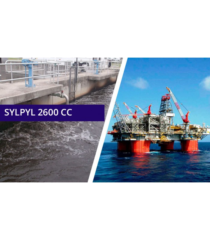 SYLPYL 2600 CC CONCRETO - Sylpyl