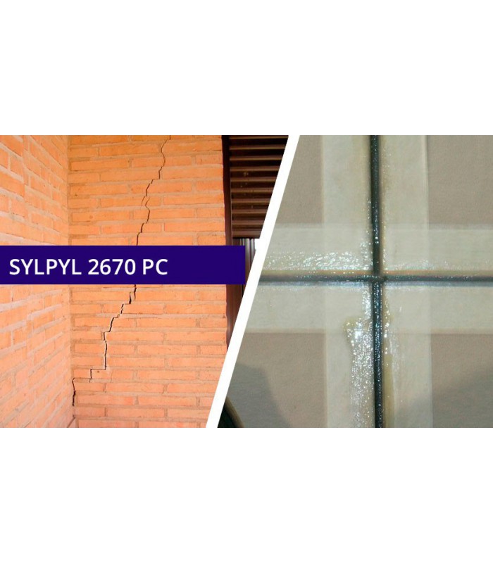 SYLPYL 2670 PC - Sylpyl